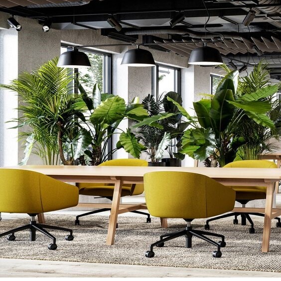 Corporate Plant Rental Services in Mumbai | Floriyard